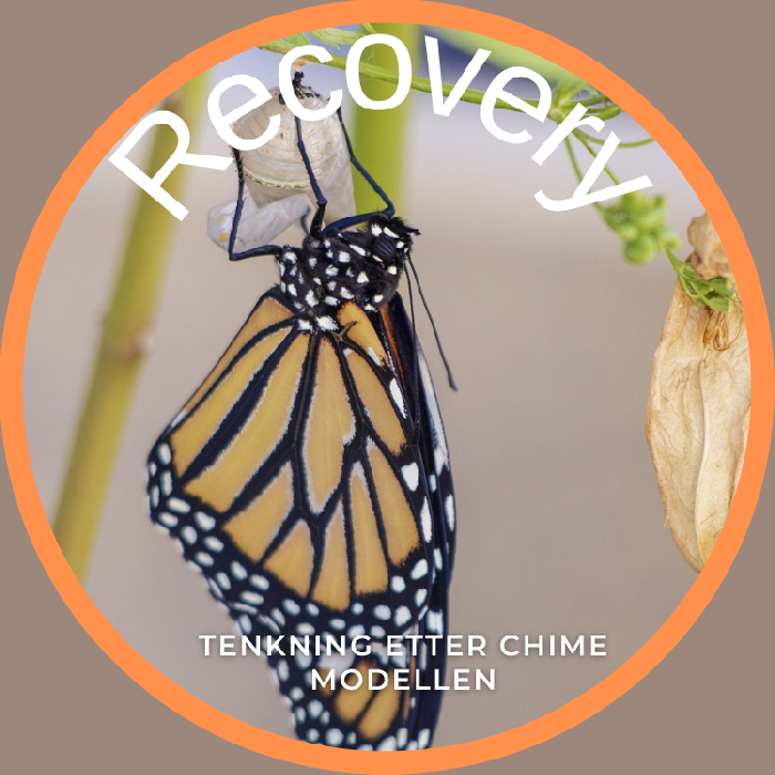 Recovery-kurs :: Råd-og-muligheter-agder